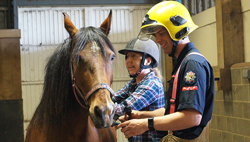 Horse handling training for Norfolk fire crews | Redwings Horse Sanctuary