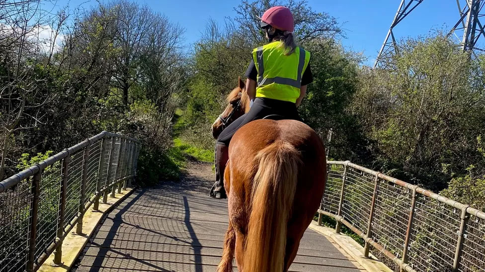 Fireworks: Liberty and Jade | Redwings Horse Sanctuary