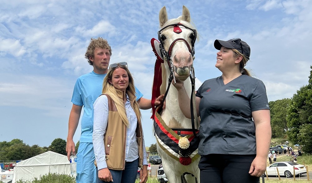 Redwings joins fellow animal welfare charities at Appleby Horse Fair ...