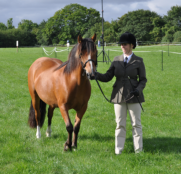 Raise a glass to lovely Merlot! | Redwings Horse Sanctuary