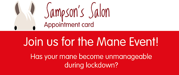 Join us for The Mane Event! | Redwings Horse Sanctuary