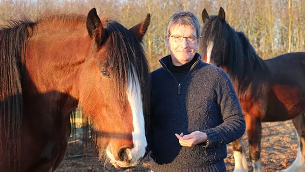 strangles outbreak uk