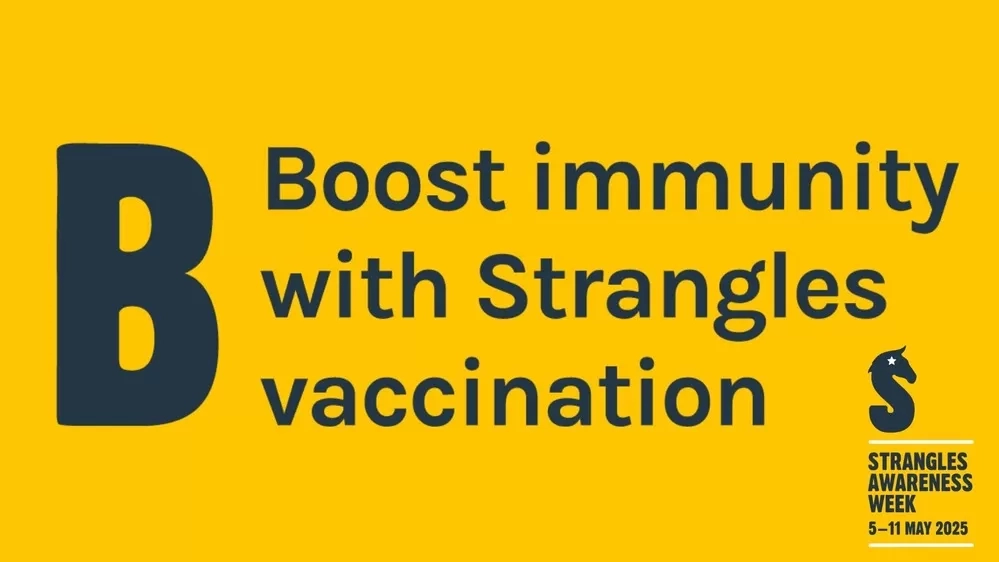 Your horse deserves the BEST: Boost immunity with Strangles vaccination ...