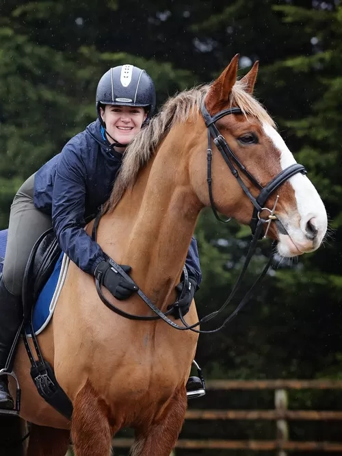 Visit Us | Redwings Horse Sanctuary