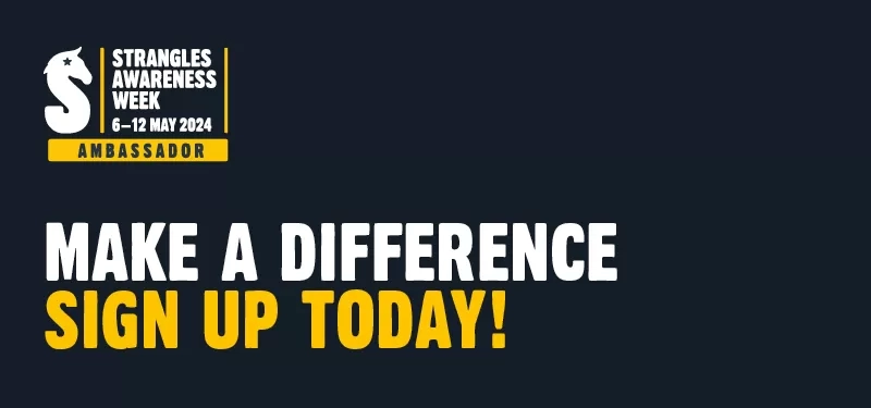 Strangles Awareness Week 2023 | Redwings Horse Sanctuary